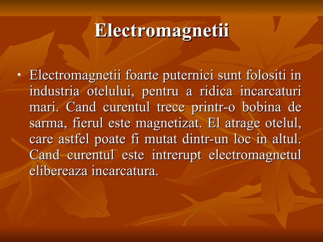 TăRîţă Marius Ilie Magnetismul șI Electromagnetismul | PPT