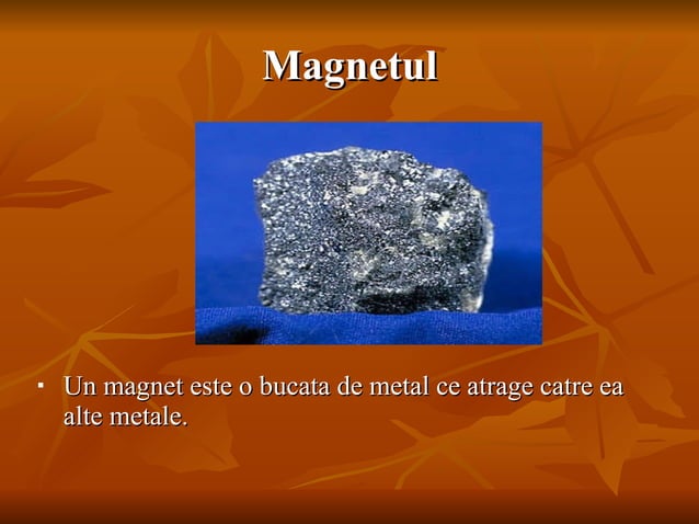 TăRîţă Marius Ilie Magnetismul șI Electromagnetismul | PPT