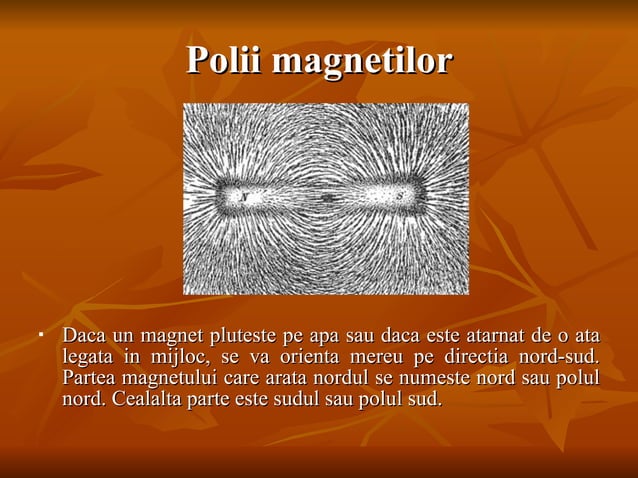 TăRîţă Marius Ilie Magnetismul șI Electromagnetismul | PPT