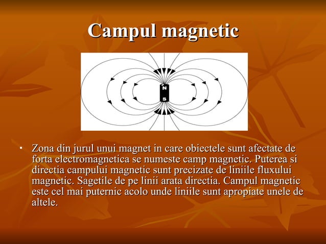 TăRîţă Marius Ilie Magnetismul șI Electromagnetismul | PPT