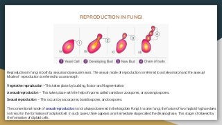 Presentation on microorganisms: friends or foes.pptx