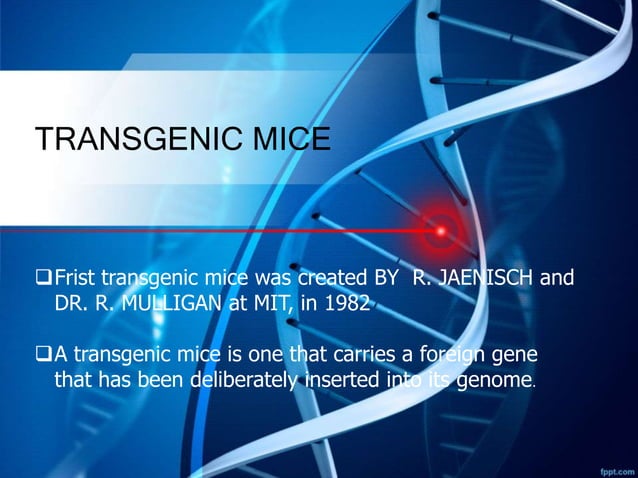 TRANSGENIC MICE | PPTX | Biological Sciences | Science
