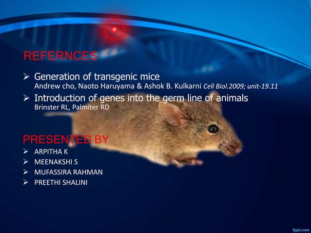 TRANSGENIC MICE | PPTX | Biological Sciences | Science