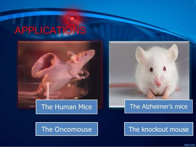 TRANSGENIC MICE