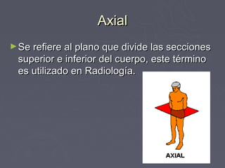 Términos anatómicos. (karen cruz, obel ramirez)