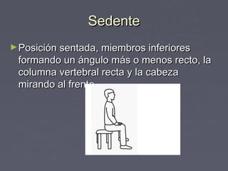 Términos anatómicos. (karen cruz, obel ramirez)