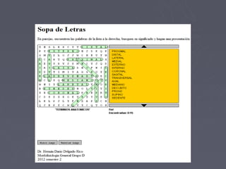 Términos anatómicos. (karen cruz, obel ramirez)