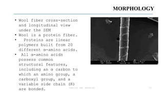 Textile raw material_presentation_0088.pptx