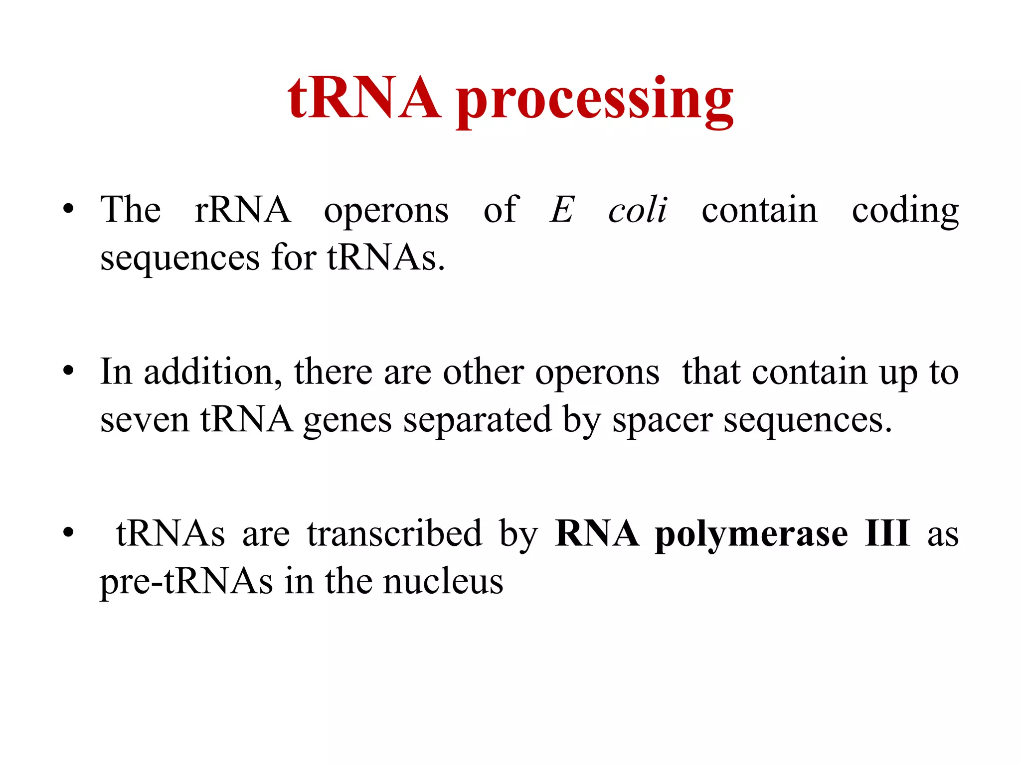 Trna Structure And Function Pptx Programming Languages Computing