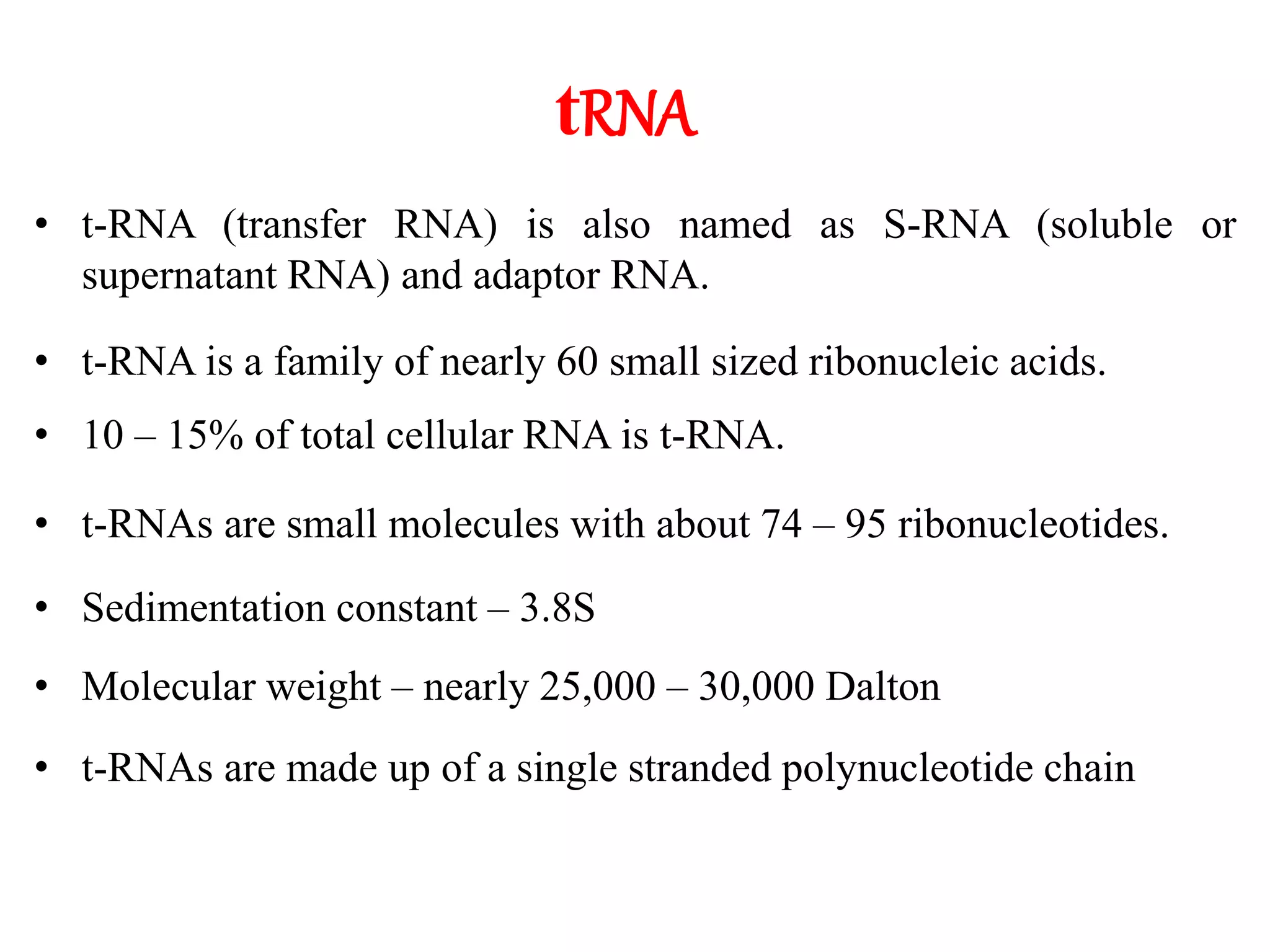 Trna Structure And Function Pptx Programming Languages Computing