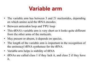 tRNA structure and function | PPTX