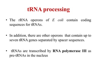 tRNA structure and function | PPTX