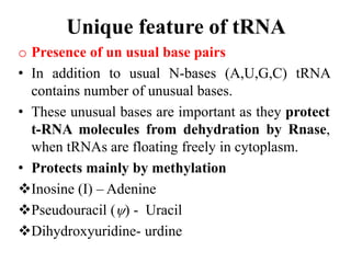 tRNA structure and function | PPTX