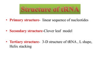 tRNA structure and function | PPTX