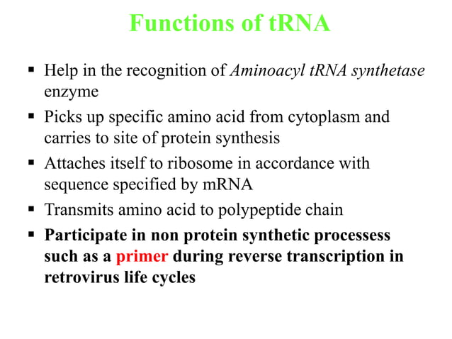 tRNA structure and function