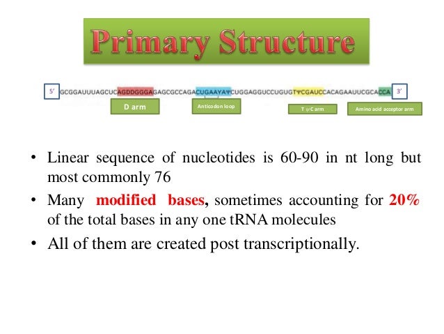 tRNA structure and function