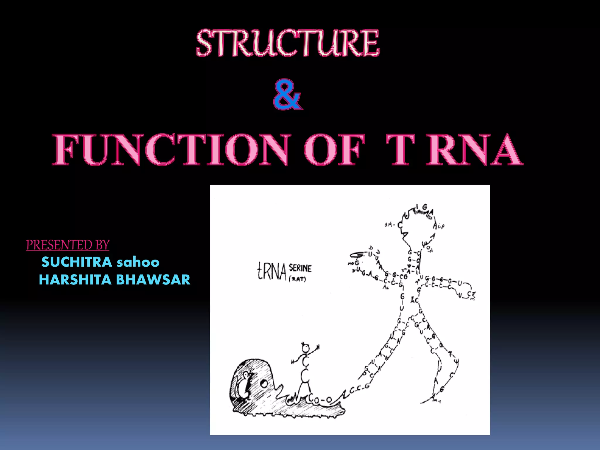 Trna Structure And Function Pptx