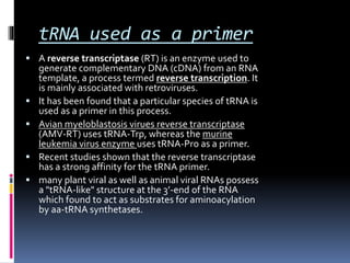 tRNA structure and function | PPTX