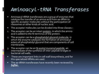 tRNA structure and function | PPTX