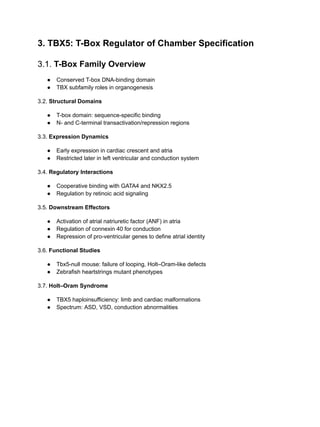 “Transcription factors in heart development” (e.g., NKX2.5, TBX5, GATA4 ...