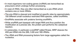 Maturation and processing of RNA | PPTX