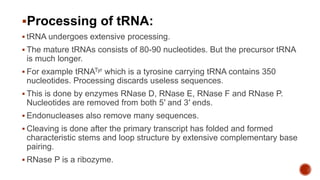 Maturation and processing of RNA | PPTX