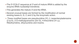 Maturation and processing of RNA | PPTX