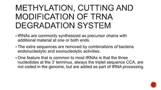 Maturation and processing of RNA | PPTX
