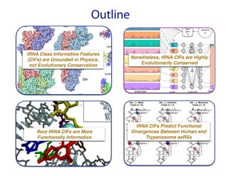 tRNA Class Informative Features are Grounded in Physics, Highly ...