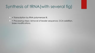 the role & function of tRNA in molecular biology.pptx