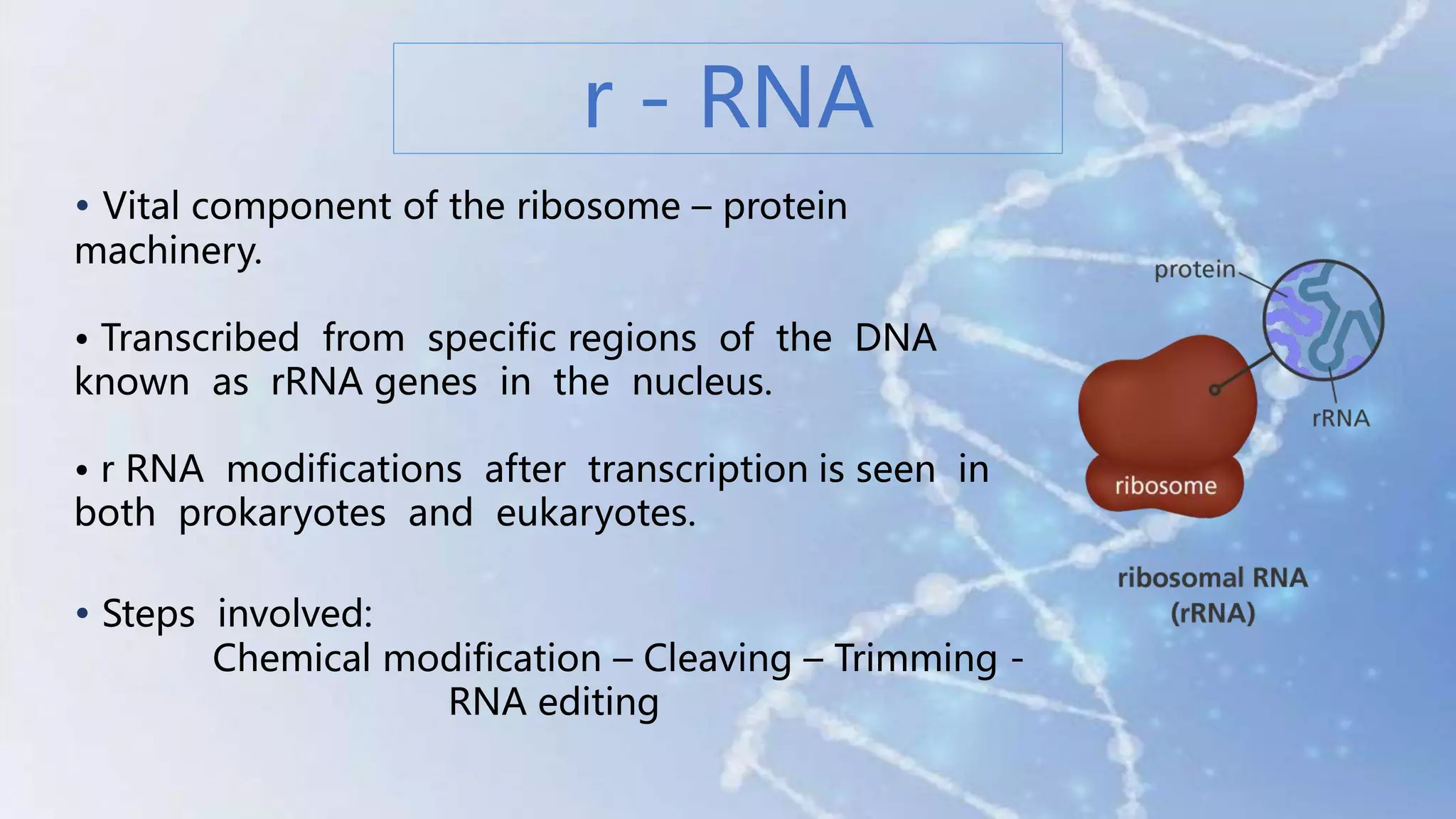 Post transcriptional modifications of tRNA and rRNA.pptx