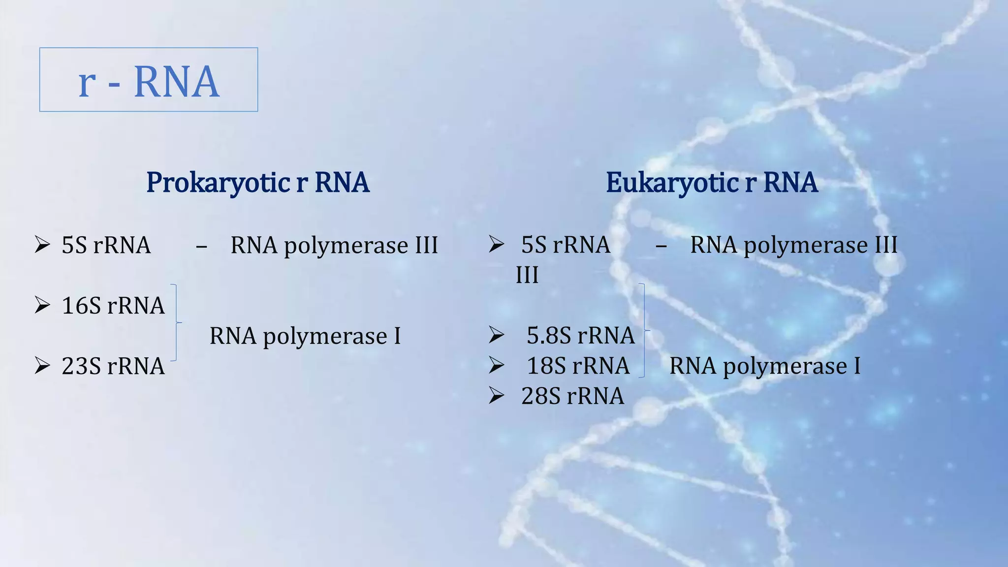 Post transcriptional modifications of tRNA and rRNA.pptx