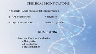 Post transcriptional modifications of tRNA and rRNA.pptx