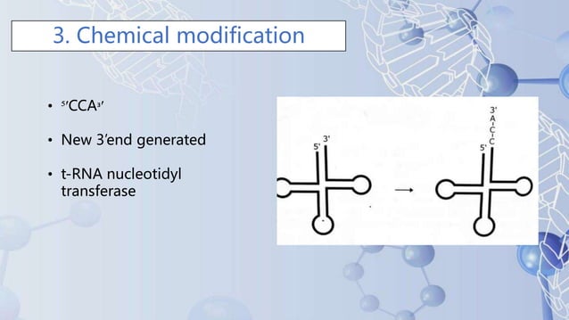 Post transcriptional modifications of tRNA and rRNA.pptx