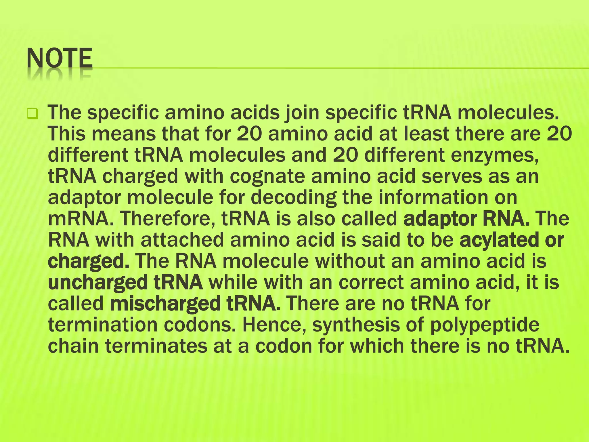 tRNA charging | PPTX