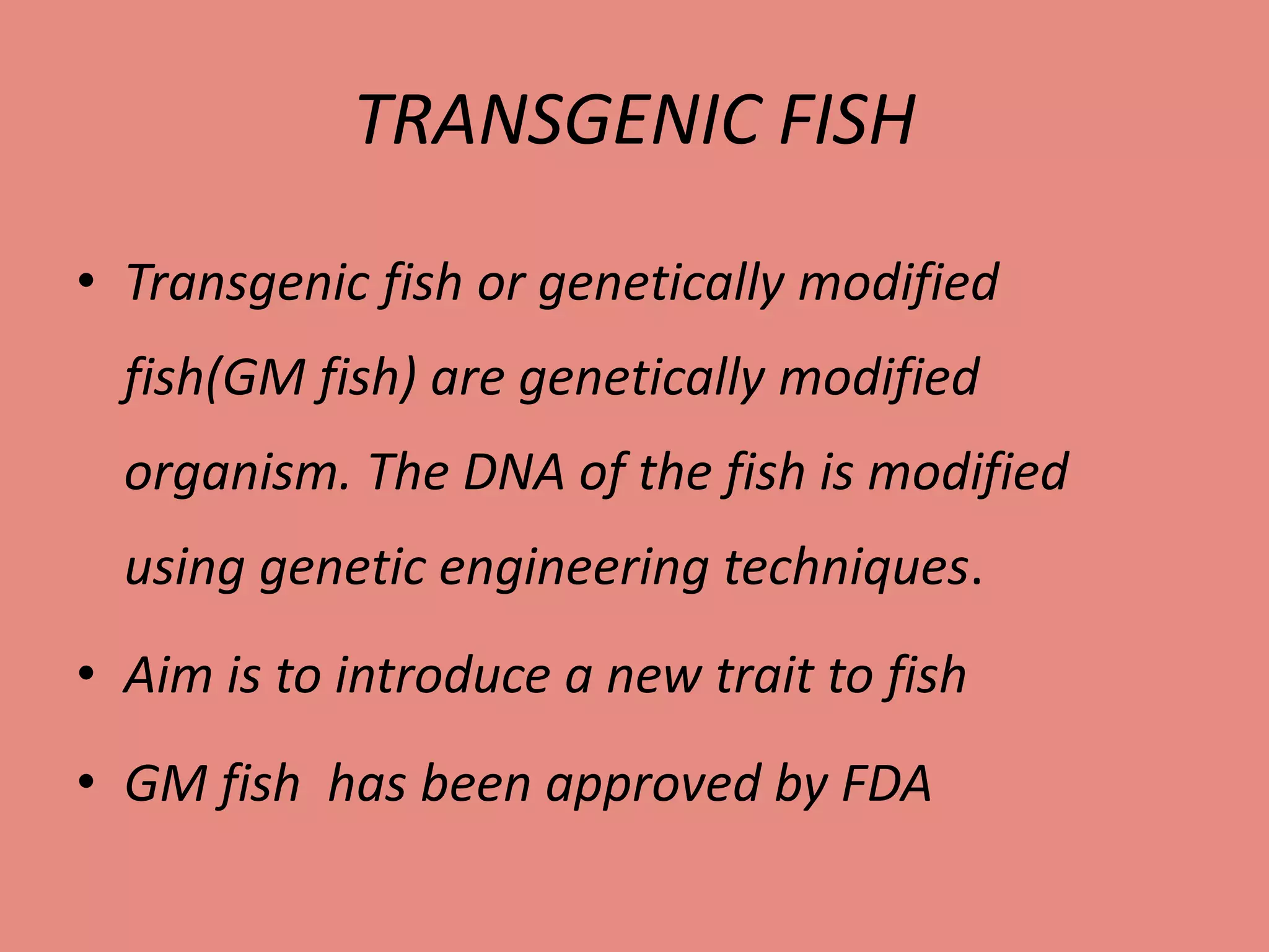 Trnasgenic fish | PPTX