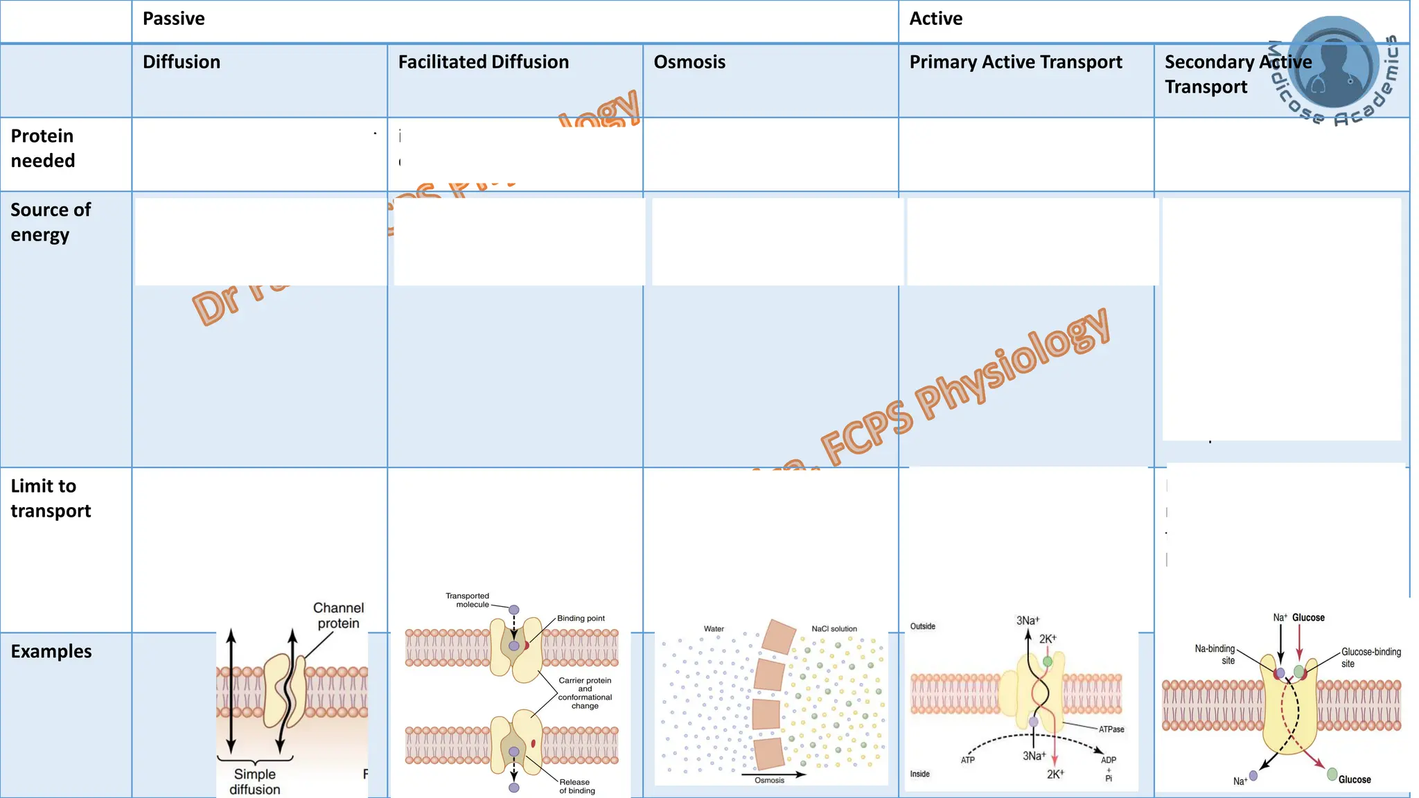 Transport across cell membrane (passive, active, vesicular) | PDF
