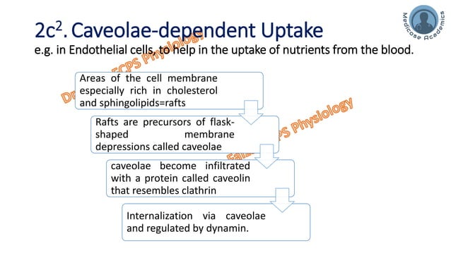 Transport across cell membrane (passive, active, vesicular) | PDF ...