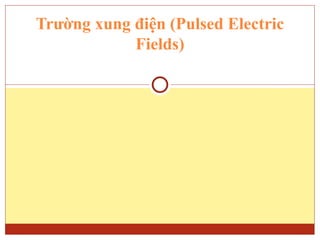 Trường xung điện (Pulsed Electric Fields).ppt