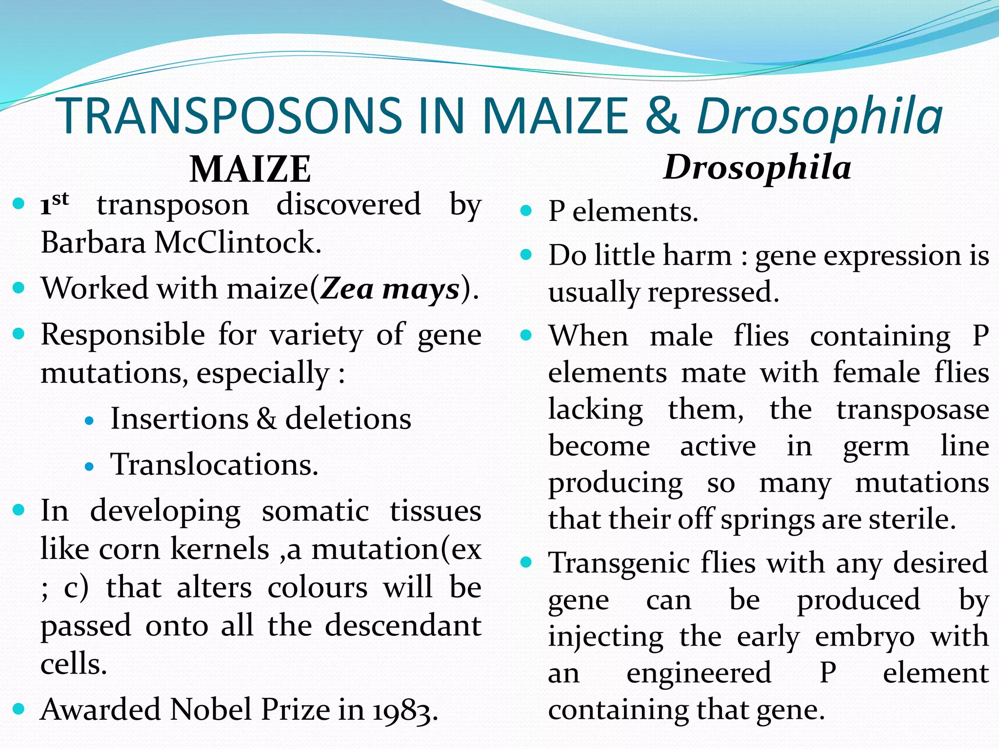 Transposons in bacteria | PPTX