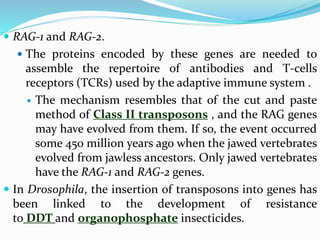 Transposons in bacteria | PPTX