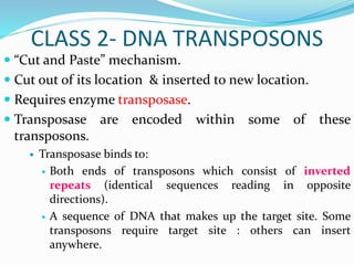 Transposons in bacteria | PPTX