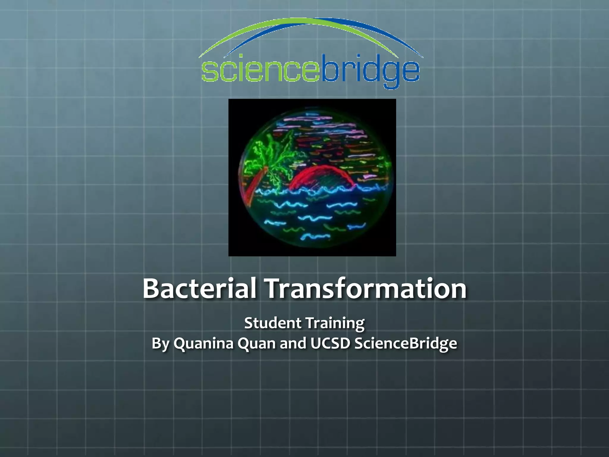 Bacterial Transformation Lab | PPTX