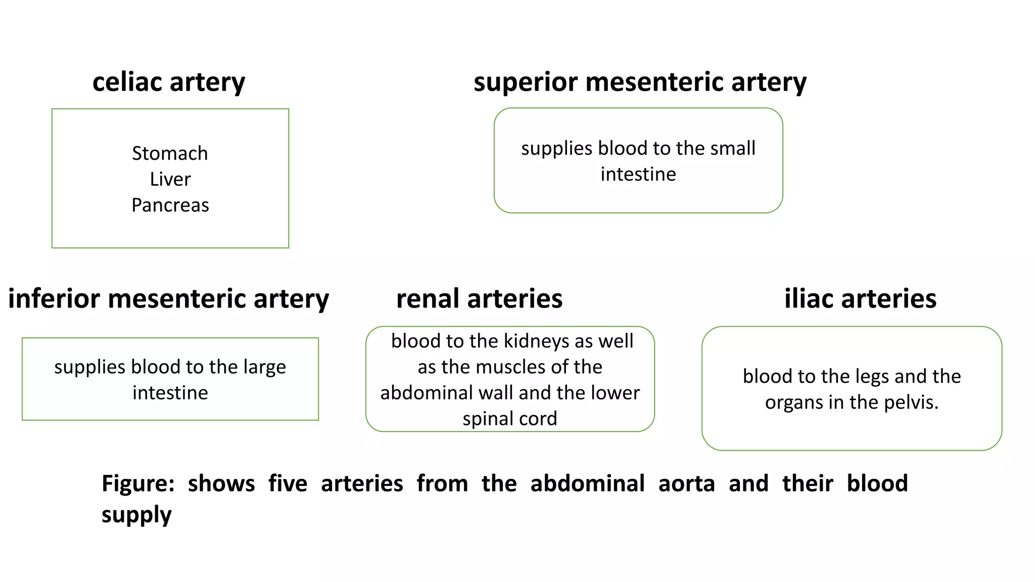 Triple Rule Out Computed Tomography | PPTX