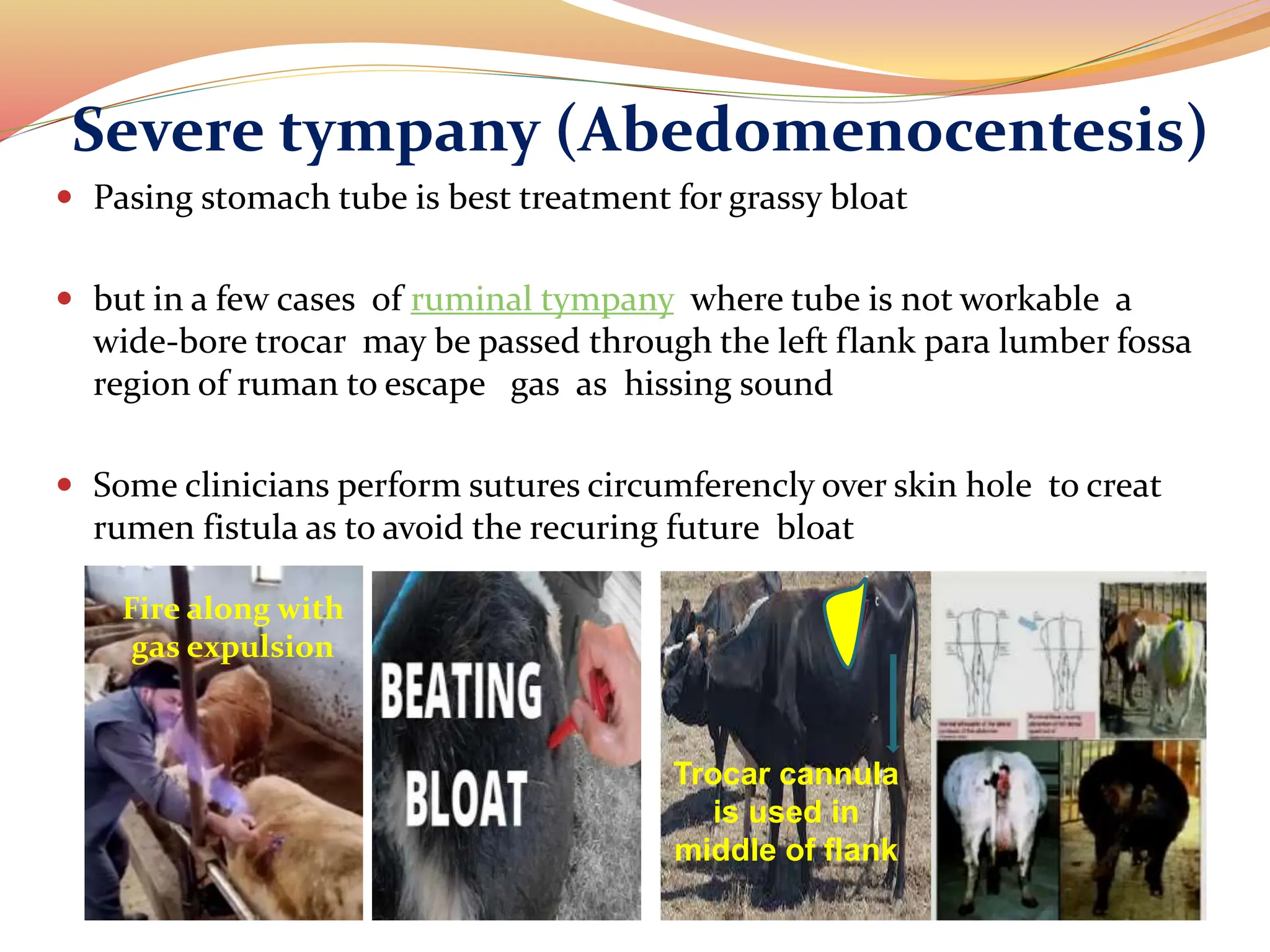 Trocarization in Small & large Animals-1.pptx