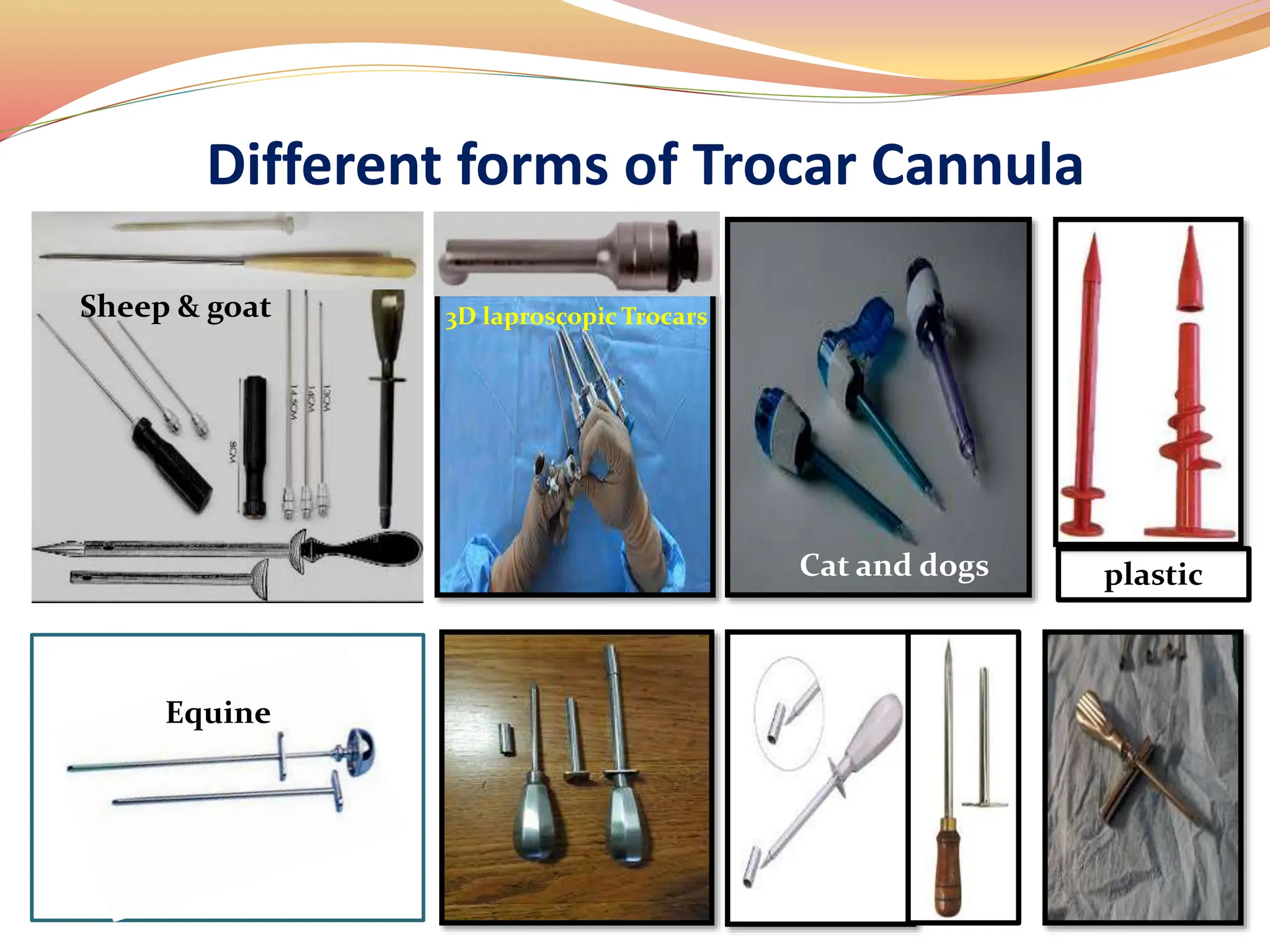 Trocarization in Small & large Animals-1.pptx
