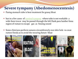 Trocarization in Small & large Animals-1.pptx