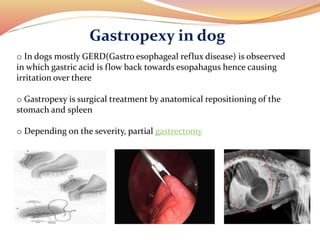 Trocarization in Small & large Animals-1.pptx
