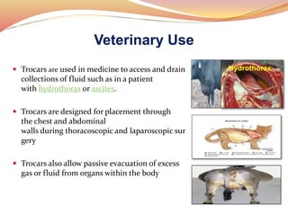 Trocarization in Small & large Animals-1.pptx