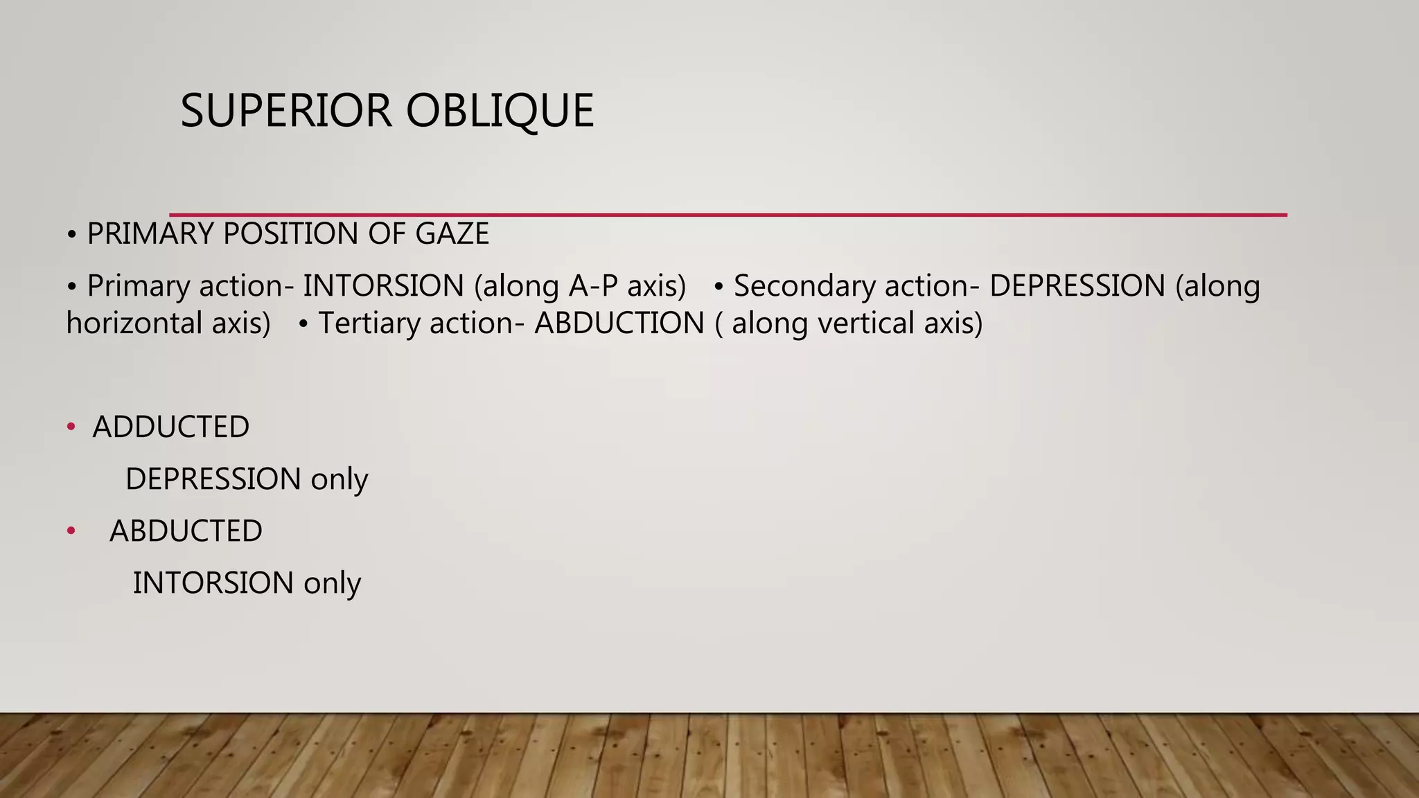 Trochlear & Abducens Nerve | PPTX